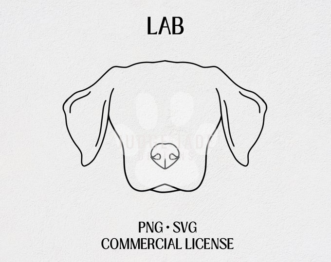 Lab Face Outline Drawing SVG, PNG Digital Download, Dog Face Svg - Etsy