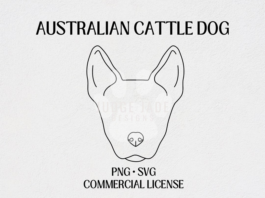 Australian Cattle Dog Face Outline Drawing SVG, PNG Digital Download ...