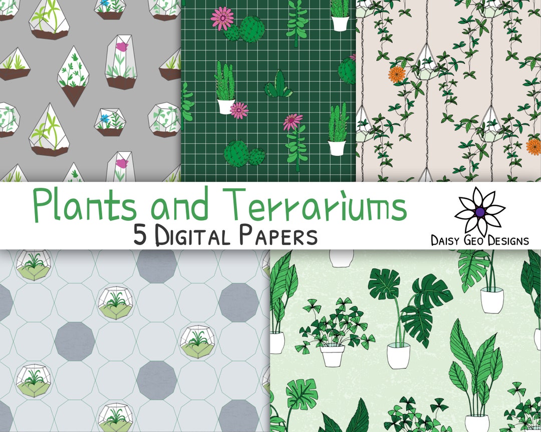 Plants and Terrariums Digital Papers, Succulent Pattern, Botanical ...