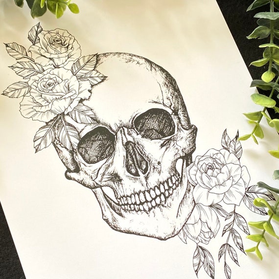 Drawing & Illustration Botanical Art Print Ink and Graphite Lords and ...