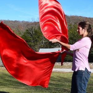 Fancy Metallic Swing Flags MANY COLORS great for Worship, Exercise ...