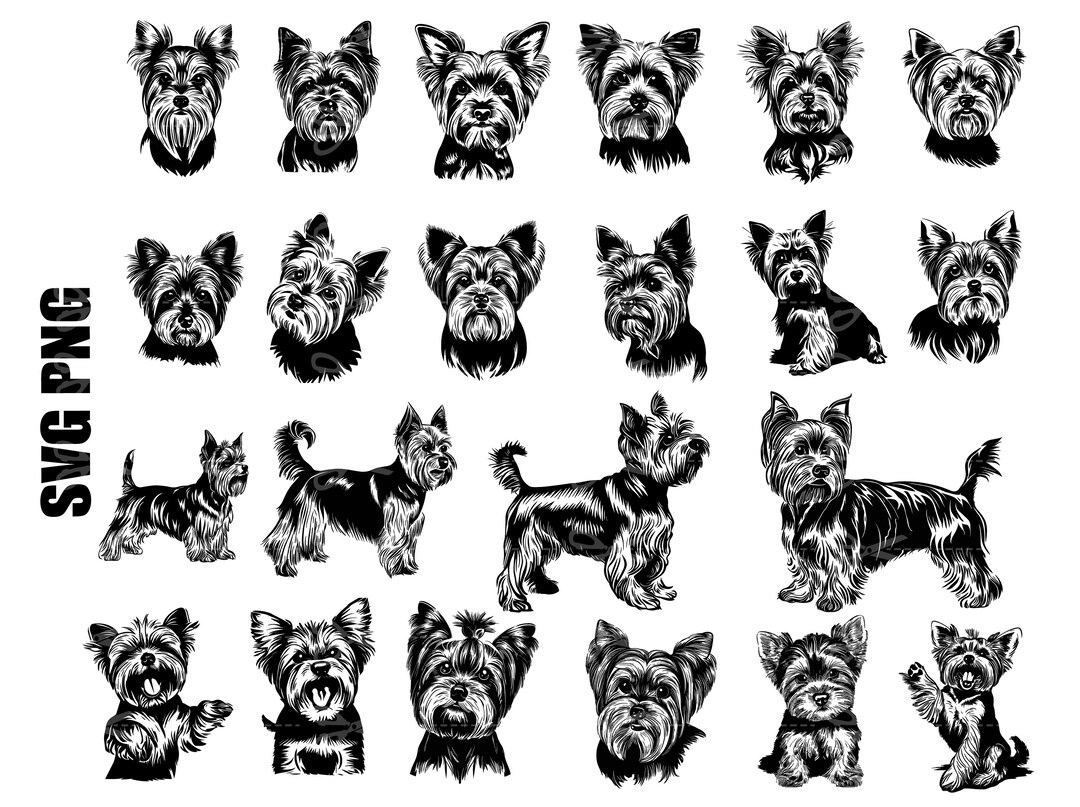 Yorkshire Terrier SVG Yorkshire Terrier Clipart Yorkshire - Etsy