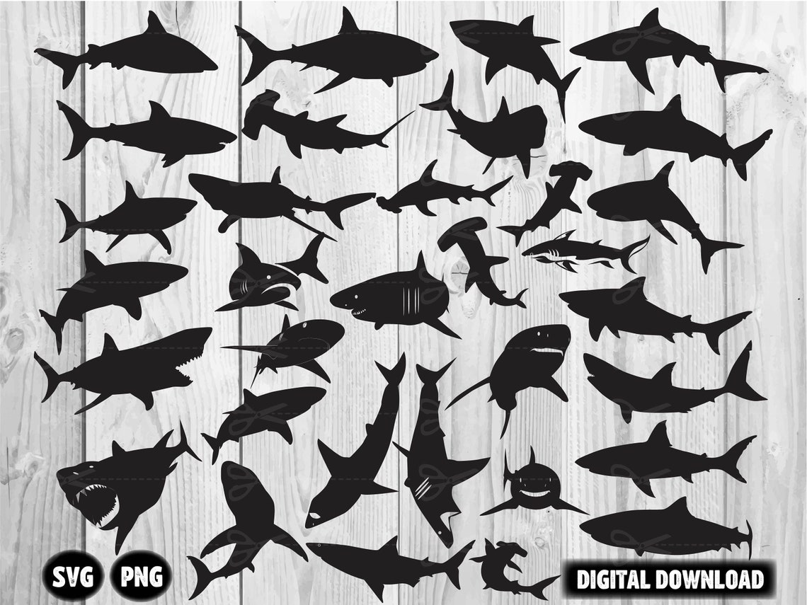 Shark Svg Sharks Svg Shark Silhouette Shark Face Svg Shark - Etsy