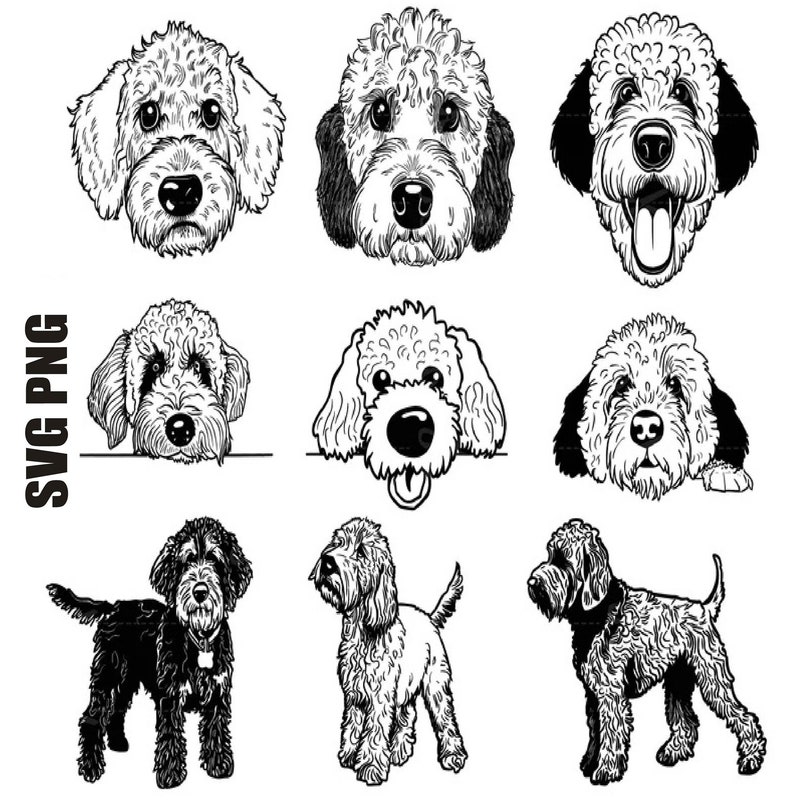 Labradoodle Clipart - Etsy