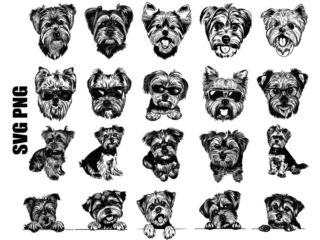 Morkie Svg Morkie Svg Morkie Clipart Morkie Peeking Morkie - Etsy Australia