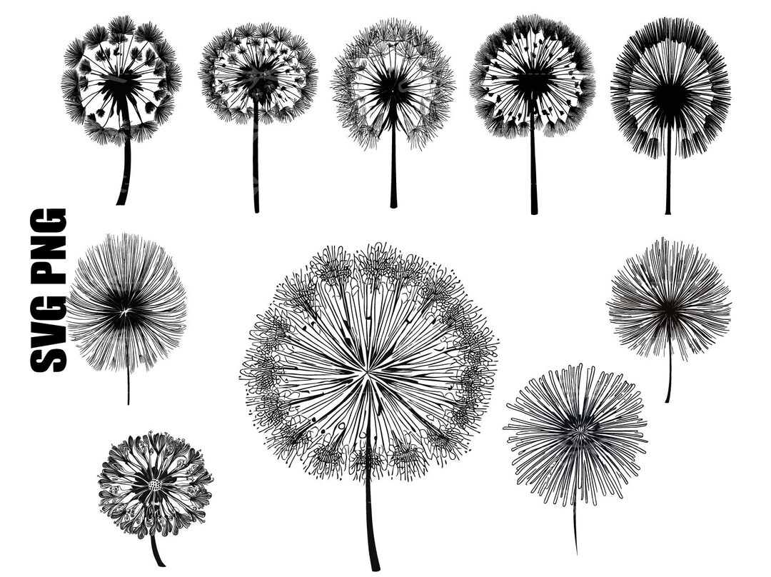 Dandelion Svg. Dandelion Flower Svg Dandelion Clipart - Etsy