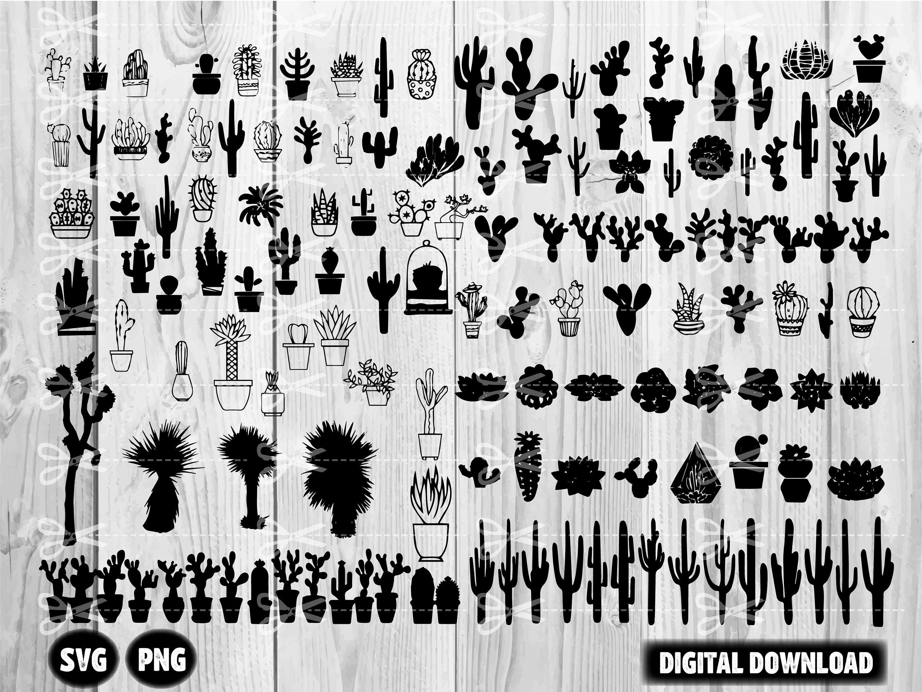 Cactus Svg Cacti Svg Succulent Svgsucculents Svg Cactus - Etsy