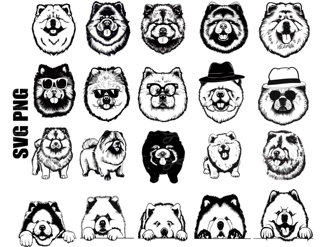 Chow Chow Svg Chow Chow Dog Svg Bundle Chow Chow Png Chow - Etsy
