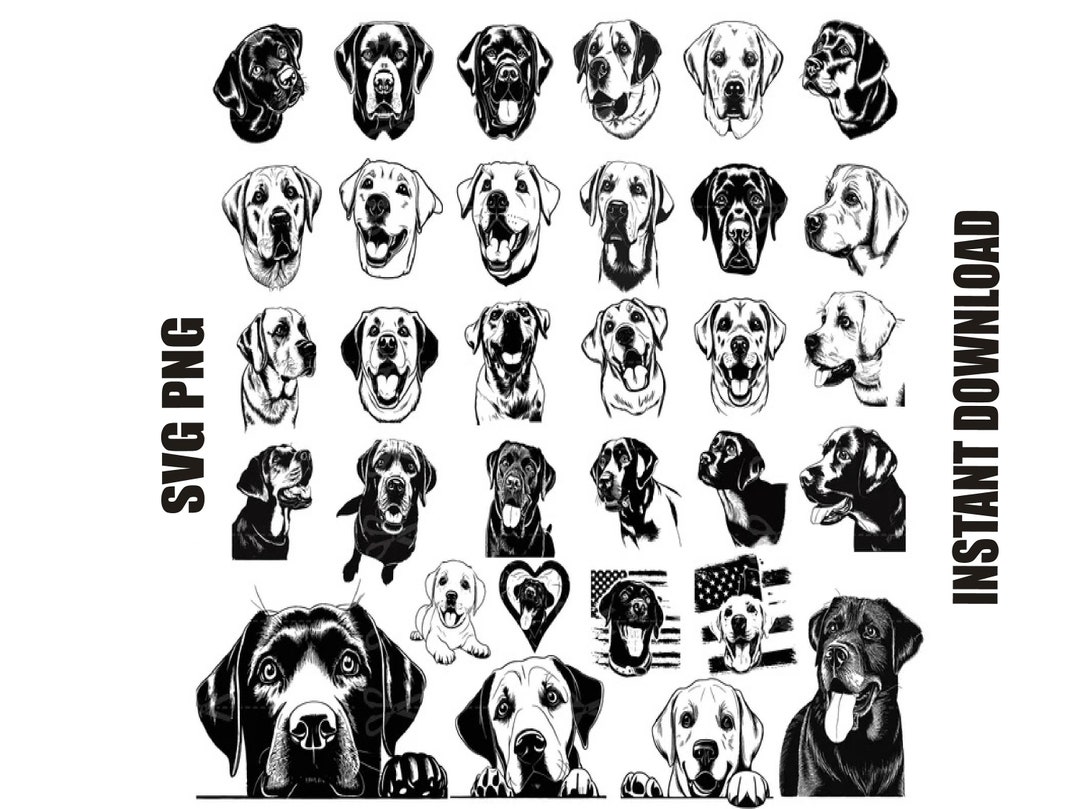 Labrador Retriever SVG, Labrador Retriever Clipart, Labrador Retriever ...