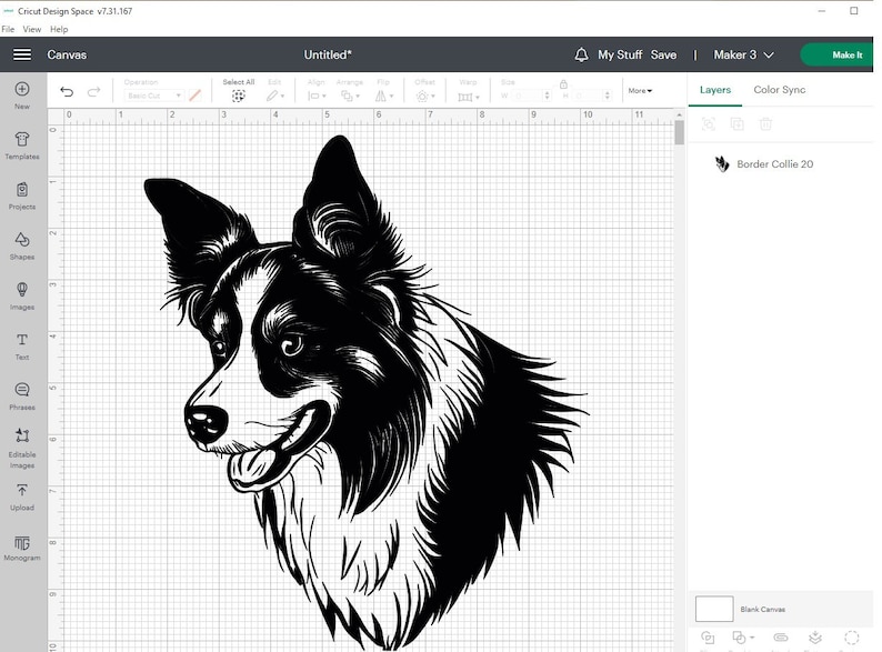 Border Collie Dog Svg Bundle Border Collie Head Svg Border - Etsy