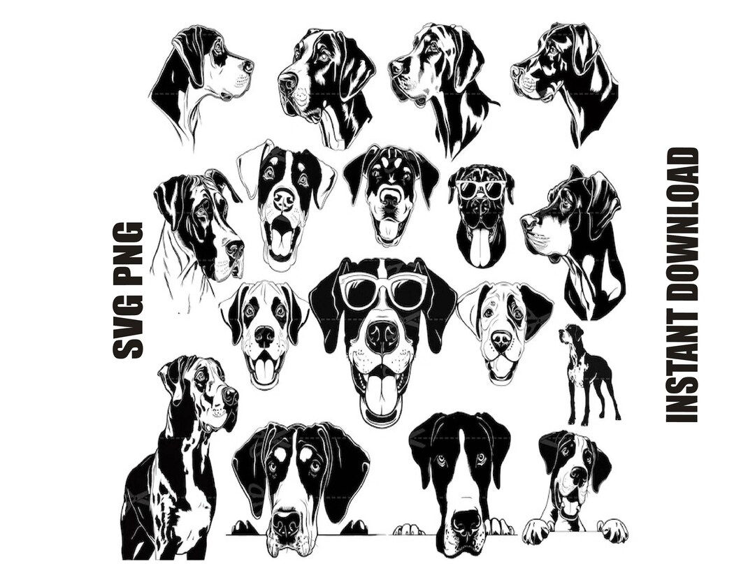 Great Dane Svg, Dog Svg, Great Dane Clipart, Great Dane Png, Great Dane ...