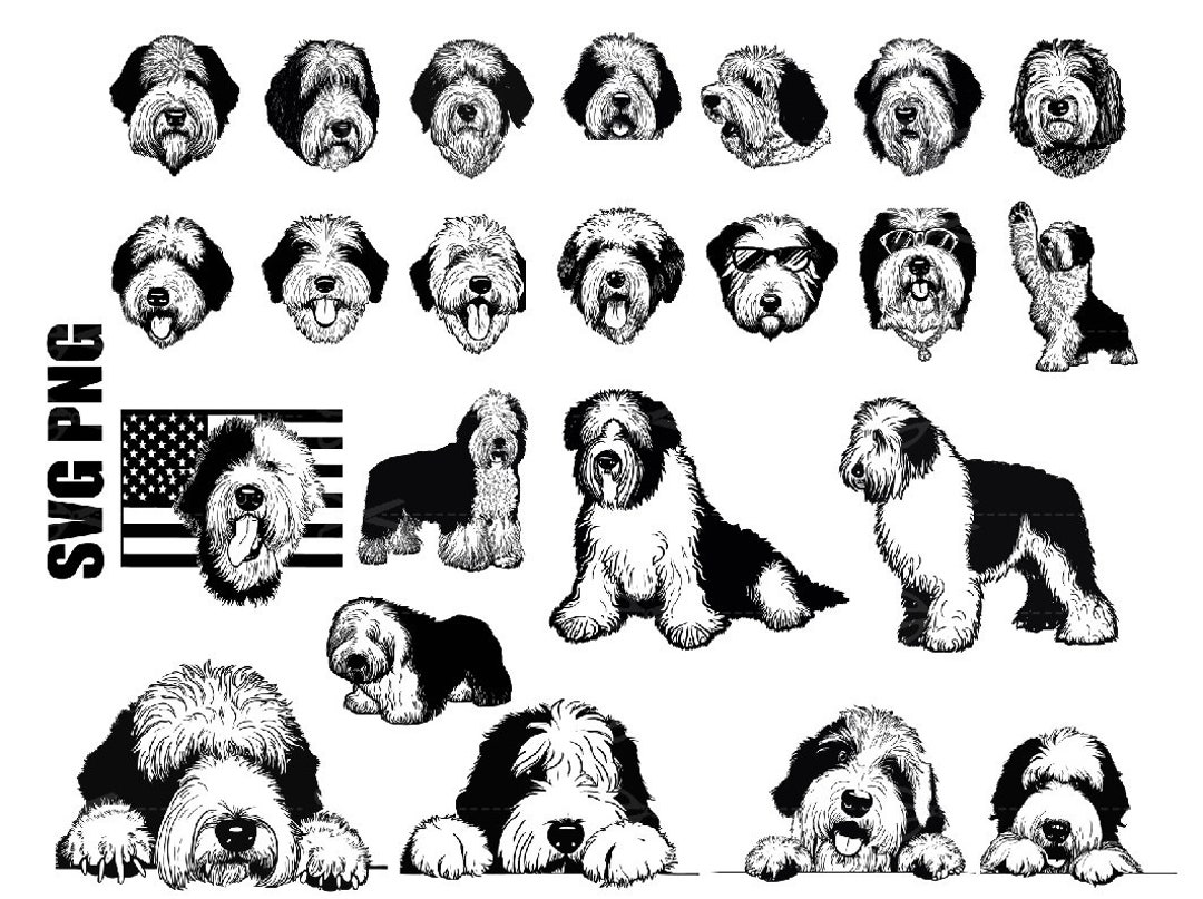 Old English Sheepdog Svg Old English Sheepdog Png Old - Etsy