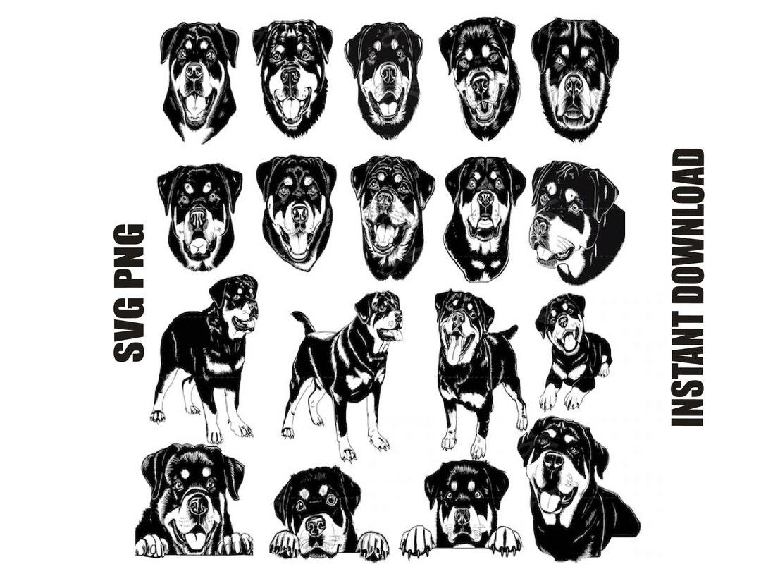 Rottweiler Svg, Rottweiler Png, Rottweiler Clipart, Peeking Rottweiler ...