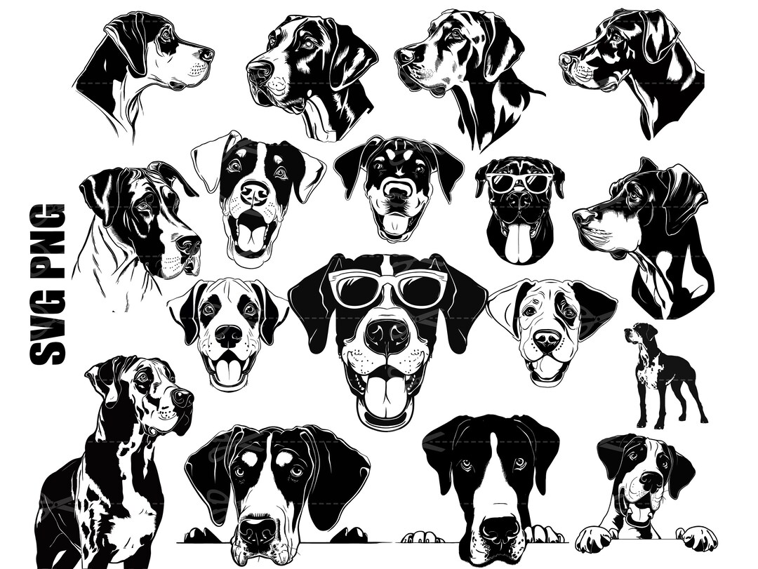Great Dane Svg Dog Svg Great Dane Clipart Great Dane Png - Etsy