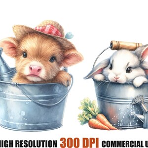 Watercolor Farm Animals in A Bucket Png Bundle | Highland Cow in a ...
