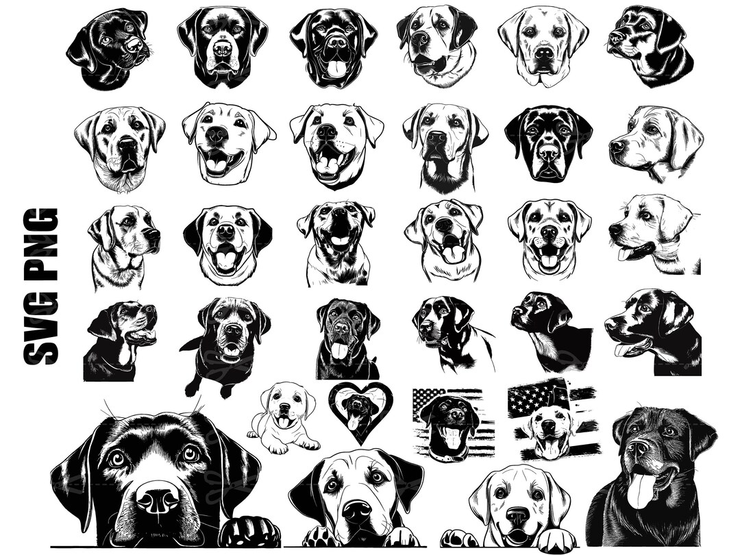 Labrador Retriever SVG Labrador Retriever Clipart Labrador - Etsy