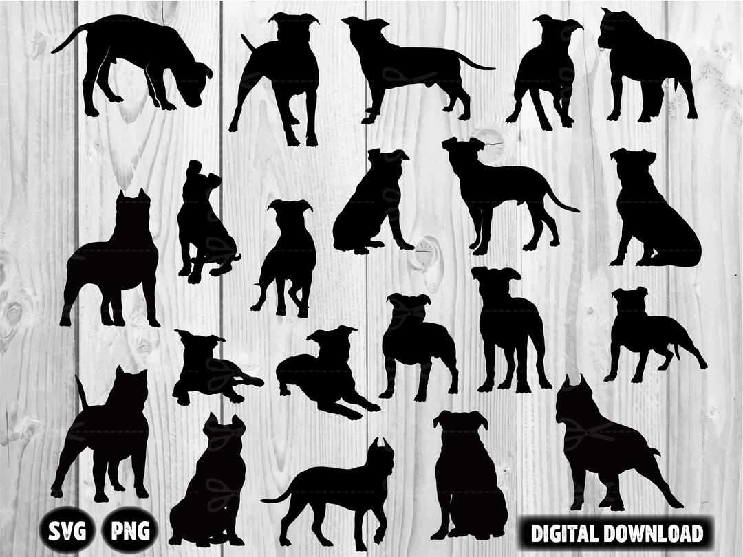 American Staffordshire Terrier Svg Bundle, American Staffy Dog, Staffy ...