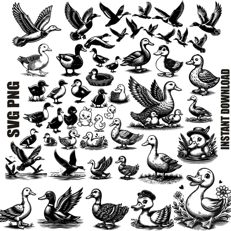 Duck Svg - Etsy