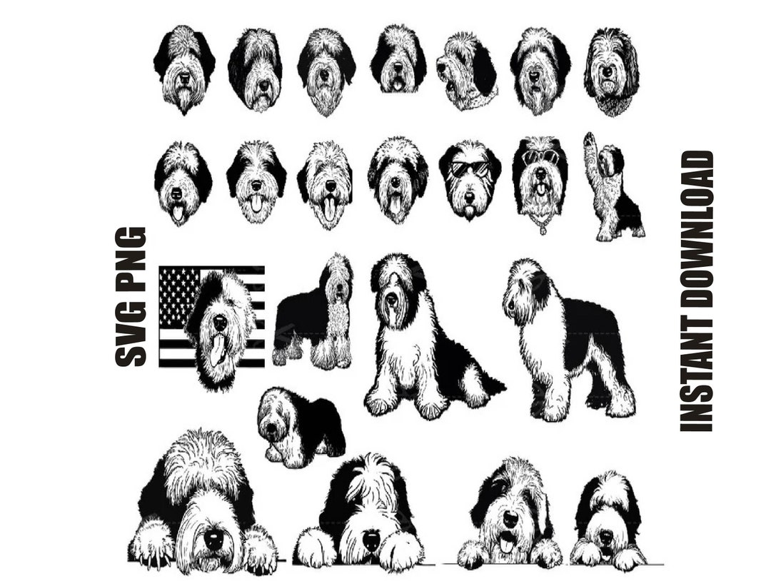 Old English Sheepdog Svg, Old English Sheepdog Png, Old English ...