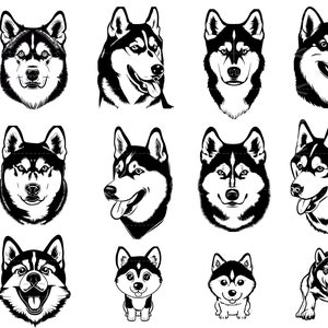 Siberian Husky Head Svg, Siberian Husky Svg, Siberian Husky Silhouette ...