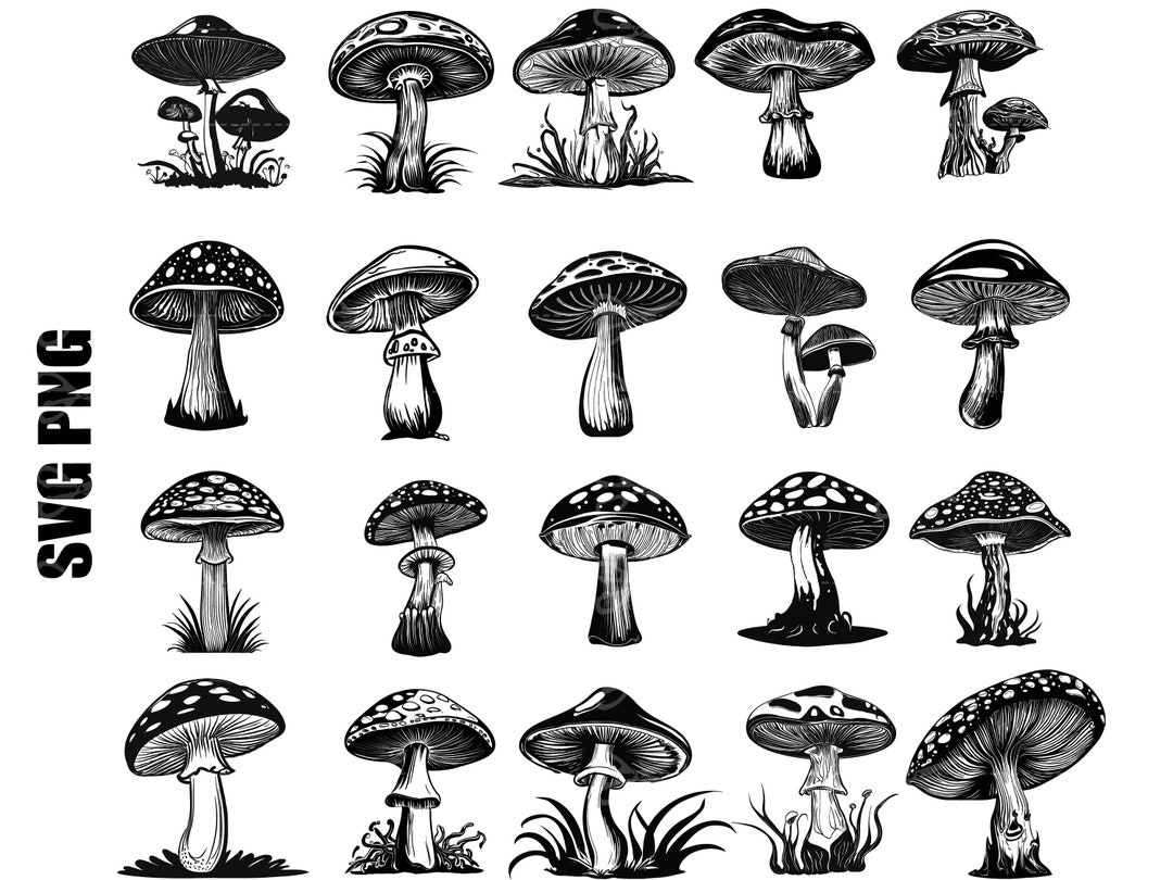 Mushroom Svg Mushroom Svg Bundle Mushroom Clipart Fungus - Etsy