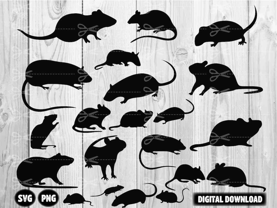 Rat Svg, Rat Clipart, Rat Svg Cut Files, Rat Silhouette, Rodents Svg ...