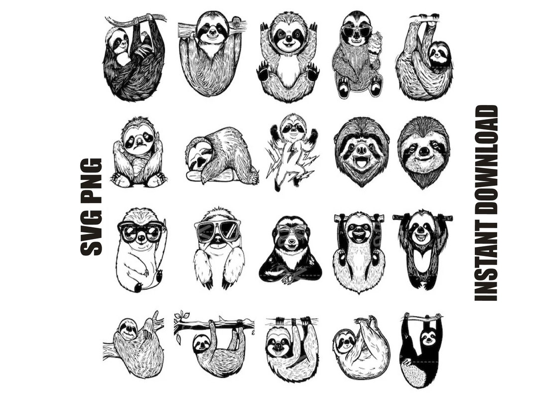 Sloth Svg, Sloth Png, Sloth Clipart, Sloth Svg Bundle, Sleeping Sloth ...
