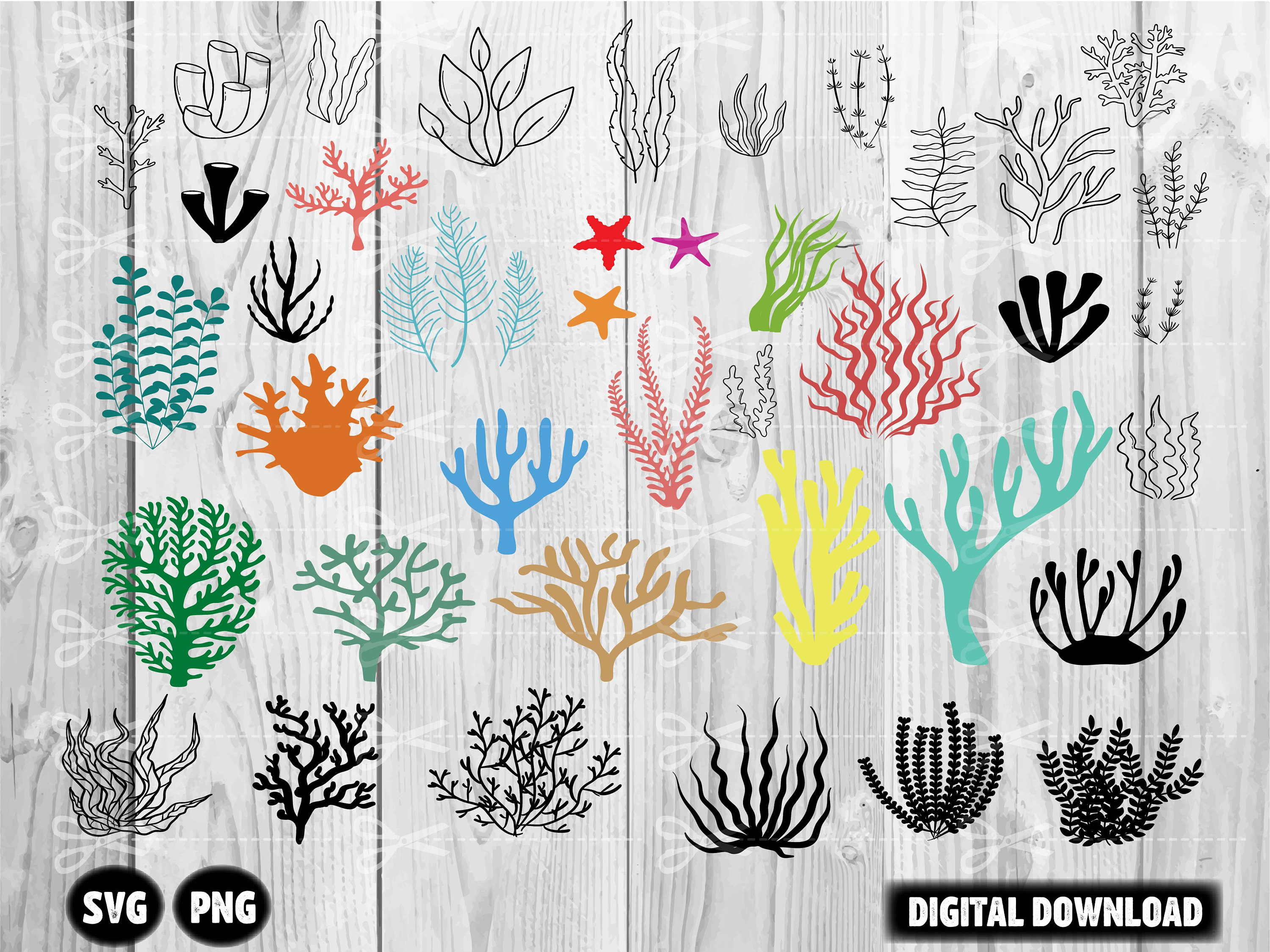 Coral SVG Sea Coral Svg Seaweed SVG Sea Plants SVG Bundle - Etsy Australia