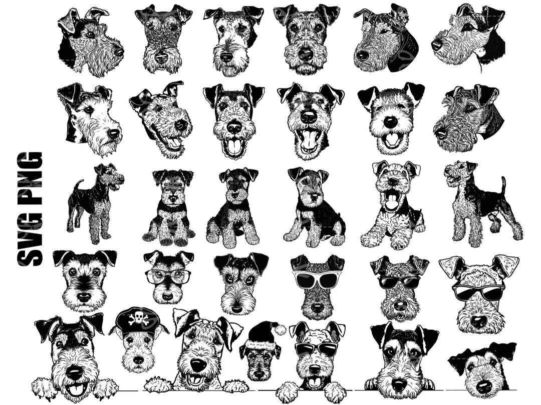 Airedale Terrier Svg Airedale Terrier Png Airedale Terrier - Etsy