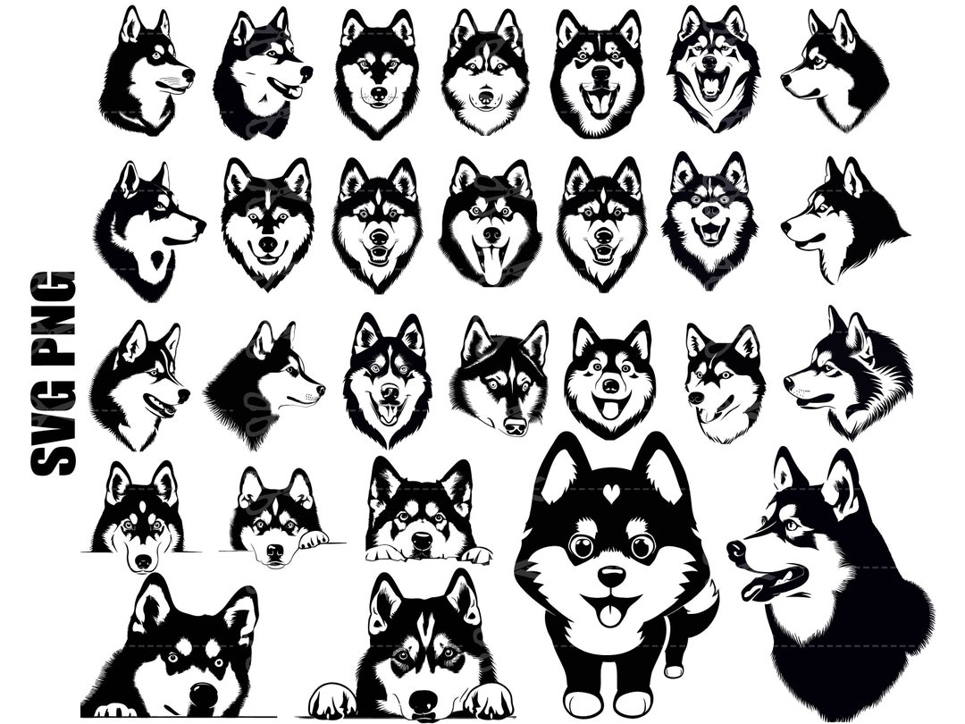 Husky Svg Husky Head Svg Husky Clipart Husky Png Husky Cut - Etsy