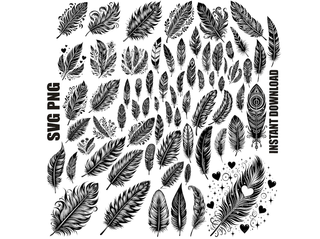 Feather SVG ,feathers SVG Bundle, Feathers Png , Floral Feathers ...