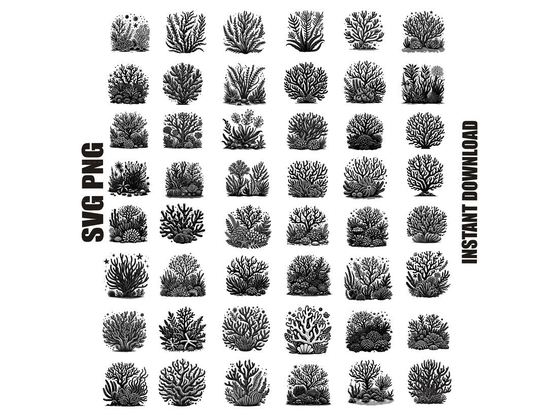 Coral SVG, Sea Coral Svg, Seaweed SVG , Sea Plants SVG Bundle, Under ...