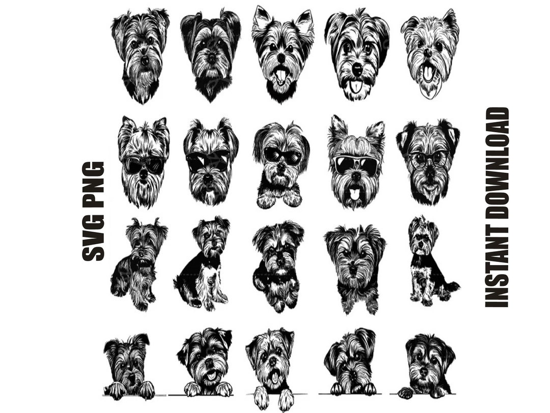 Morkie Svg, Morkie Svg, Morkie Clipart, Morkie Peeking, Morkie Cut File ...