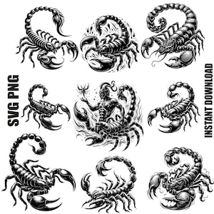 Scorpio Svg, Scorpion Svg, Scorpio Svg Cut Files, Scorpio Clipart ...