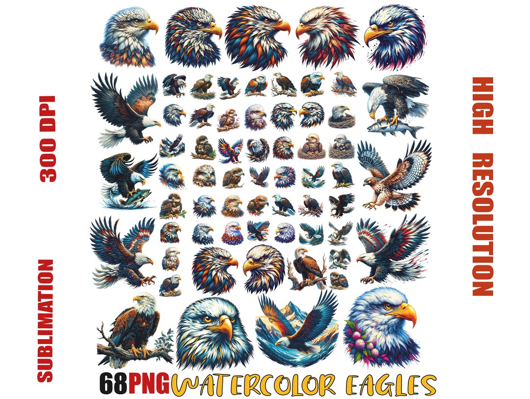 Watercolor Eagle Clipart Bundle | Majestic Bird Illustrations | PNG ...