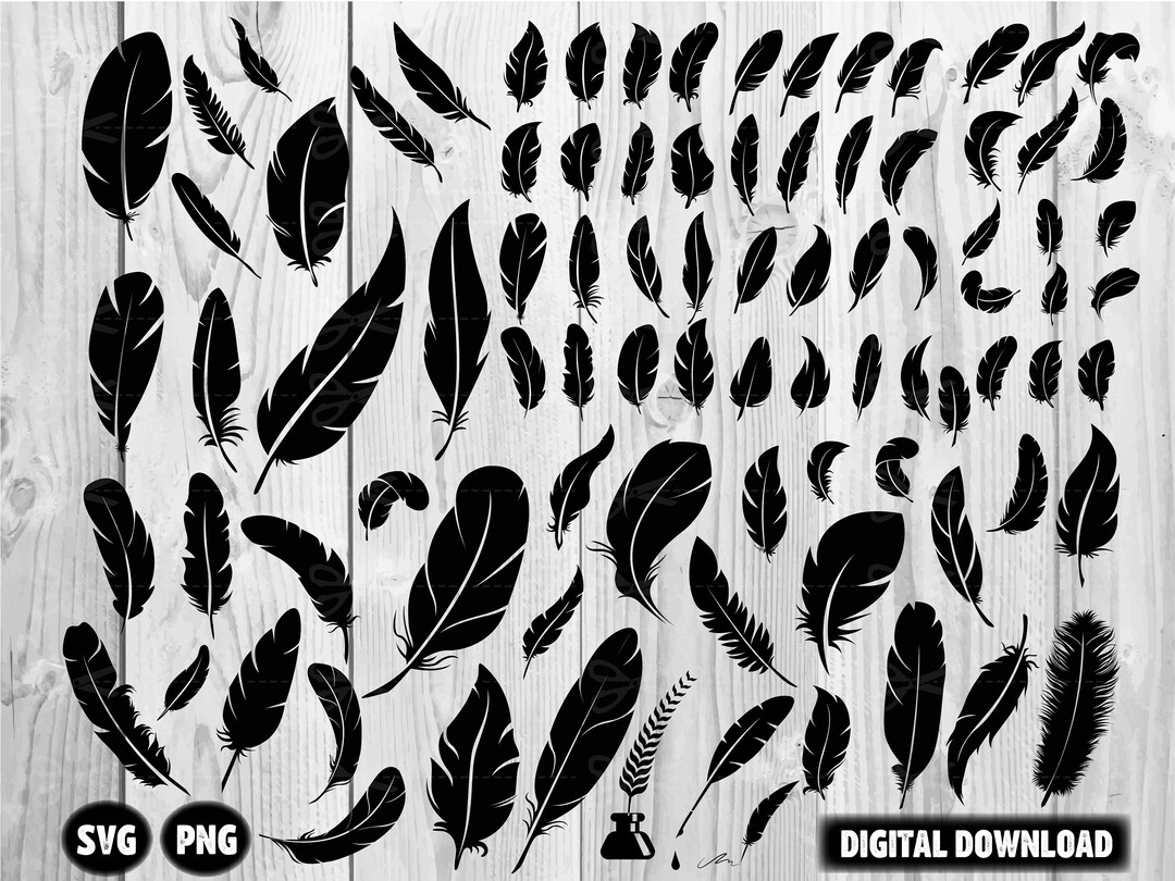 Feather SVG feathers SVG Bundle Feathers Png Feathers - Etsy