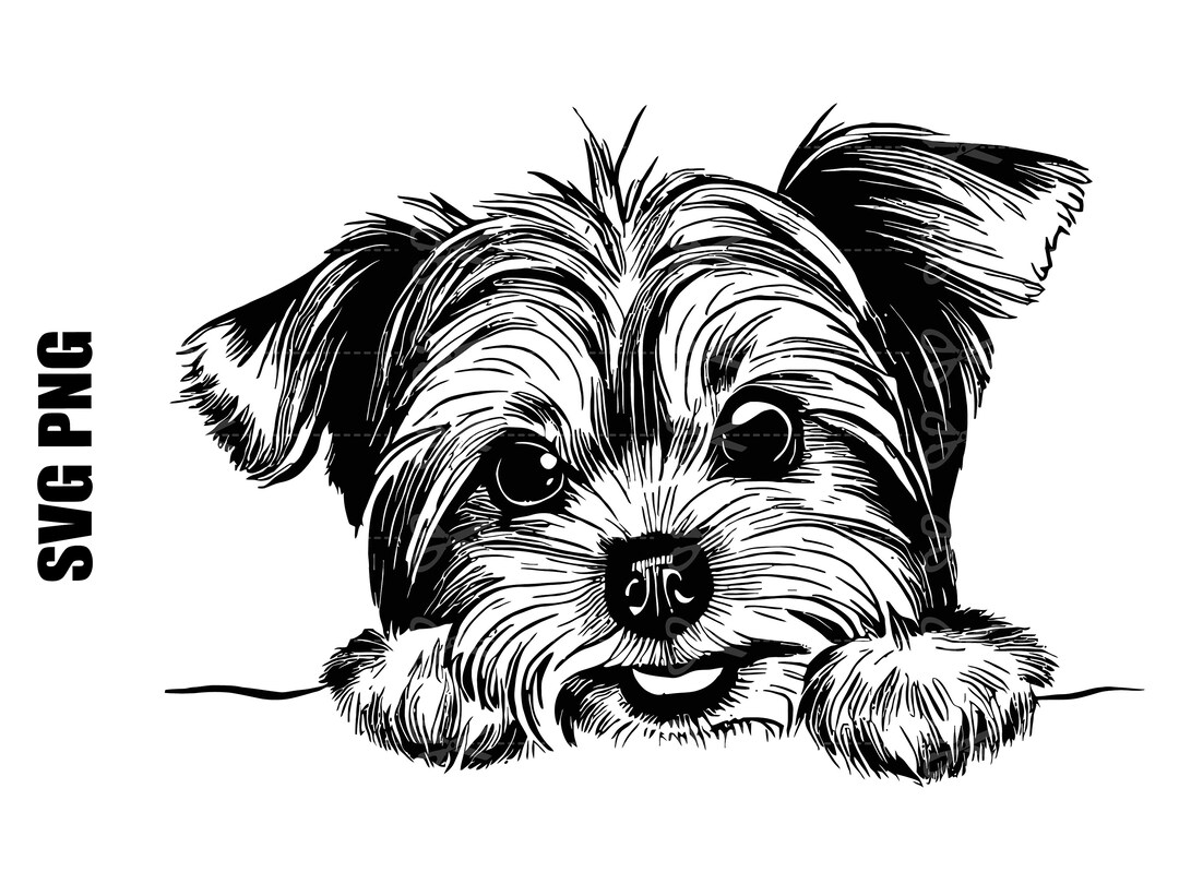 Peeking Morkie Svg, Peeking Morkie Clipart, Morkie Head Svg, Peeking ...
