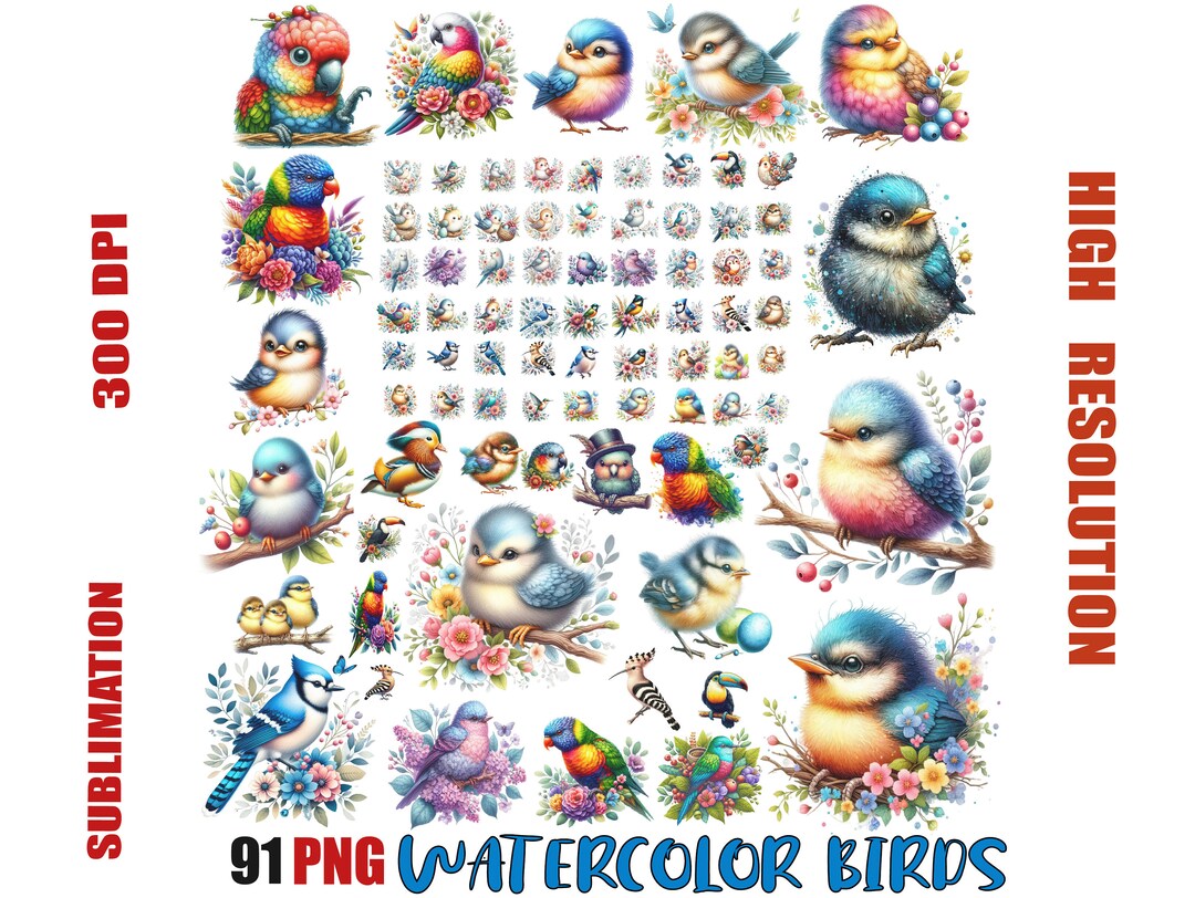 Watercolor Spring Birds Clipart, Adorable Bird, Floral Bird Png ...