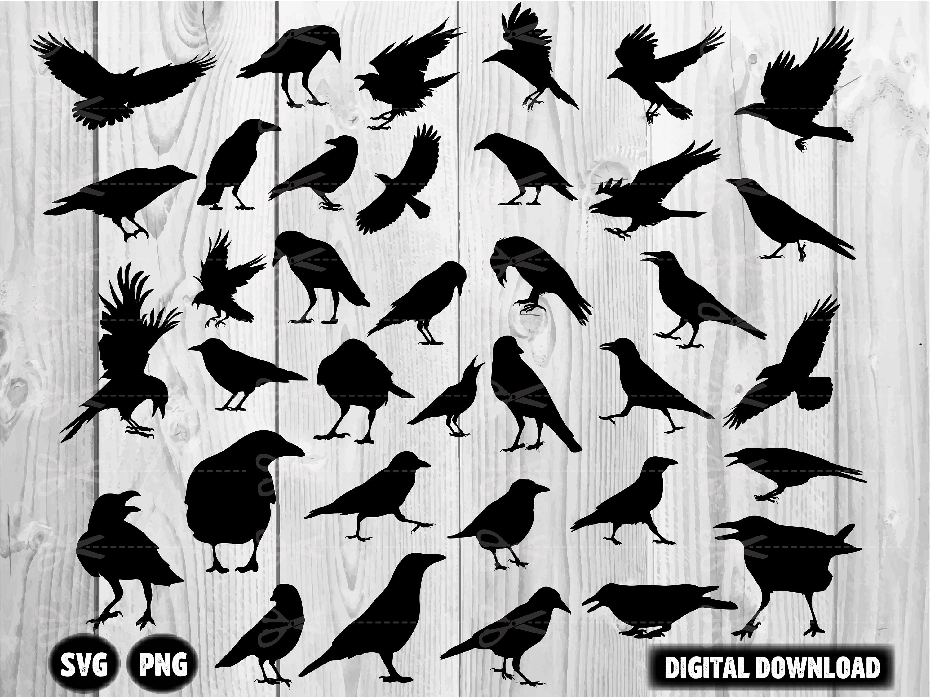 Flock Of Crows Silhouette