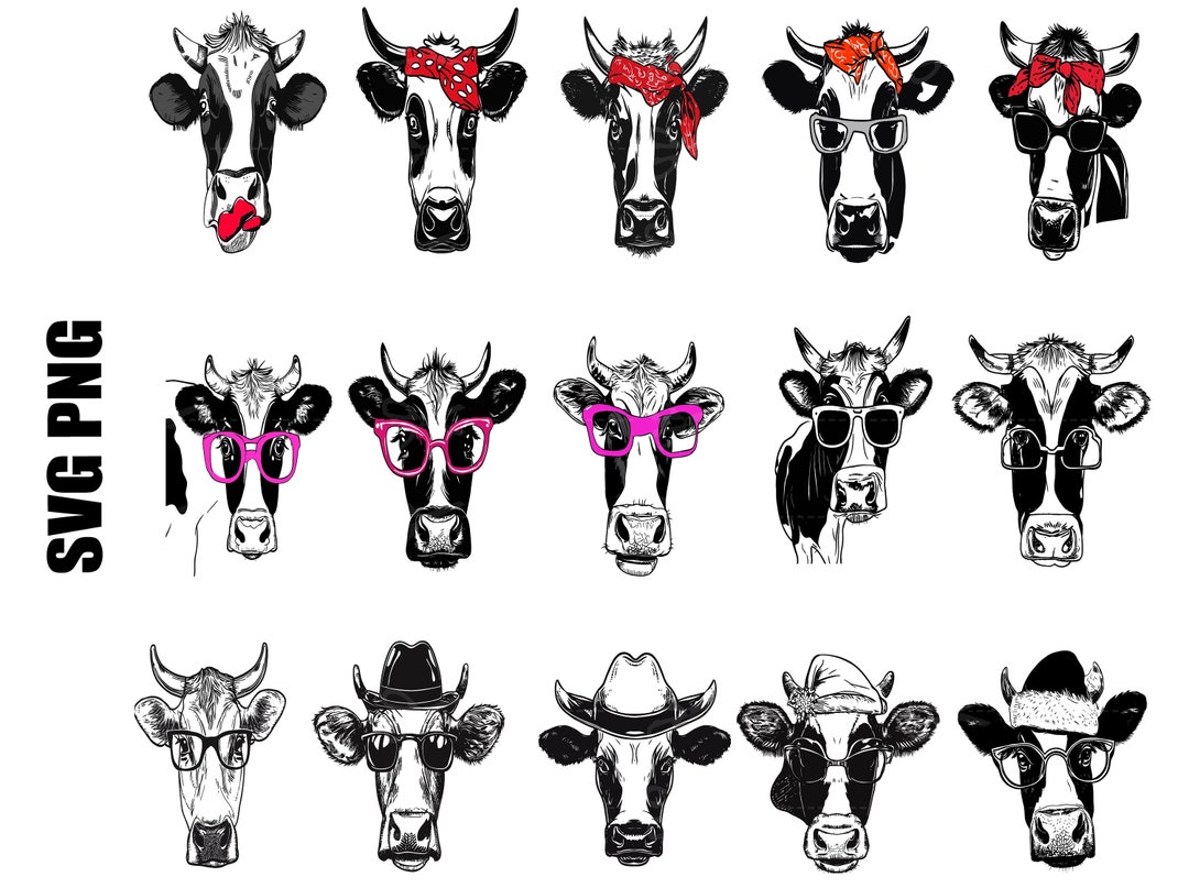 Funny Cow Svg Cow Wearing Sunglasses Cow Head Svg Heifer - Etsy
