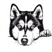 Peeking Husky Svg, Peeking Husky Clipart,husky Head Svg, Peeking Husky ...