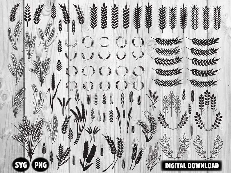 WHEAT SVG Bundlewheat Wreath Svg Wheat Svg GRAIN Svg Cut - Etsy