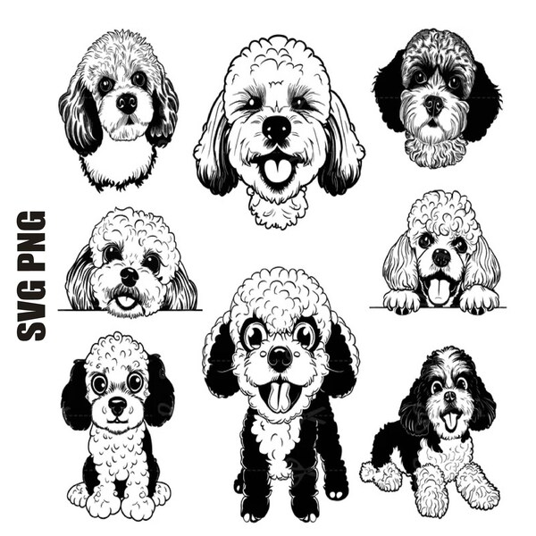 Cavapoo Svg - Etsy