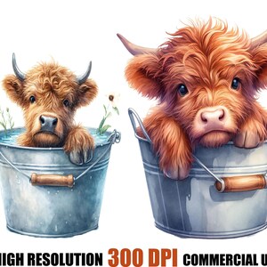 Watercolor Farm Animals in A Bucket Png Bundle | Highland Cow in a ...