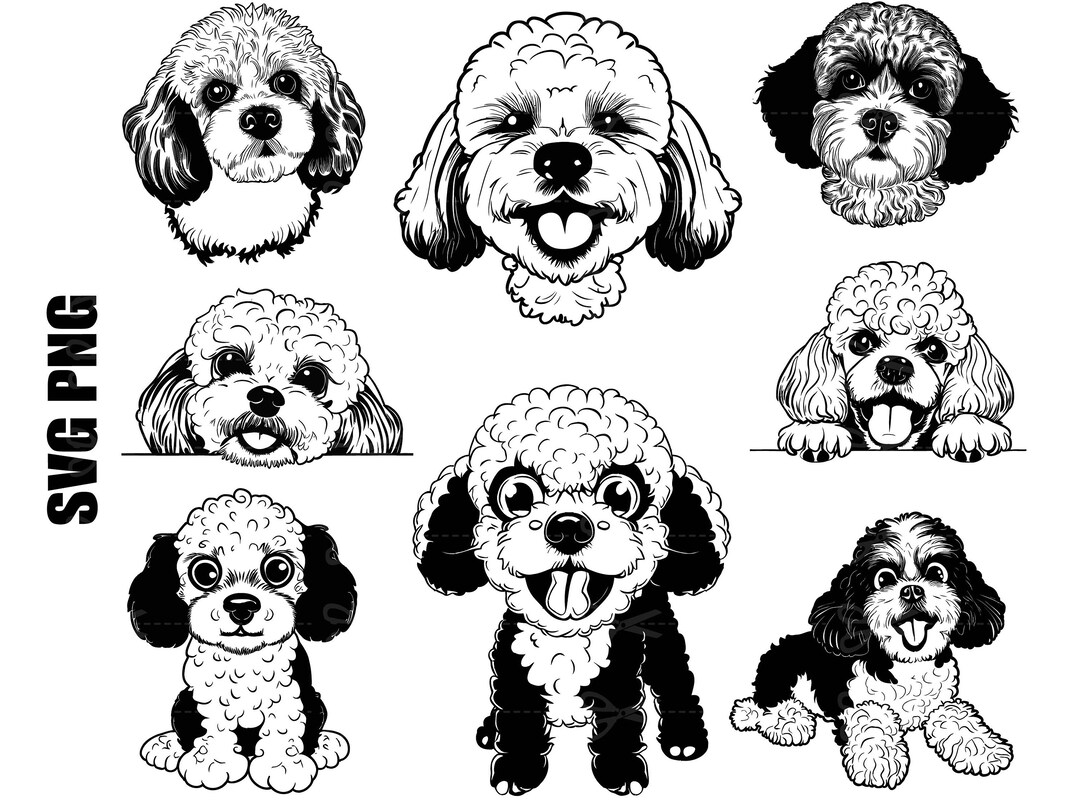 Cavapoo Svg Cavapoo Dog SVG Cavapoo Dog Head SVG Cavapoo - Etsy