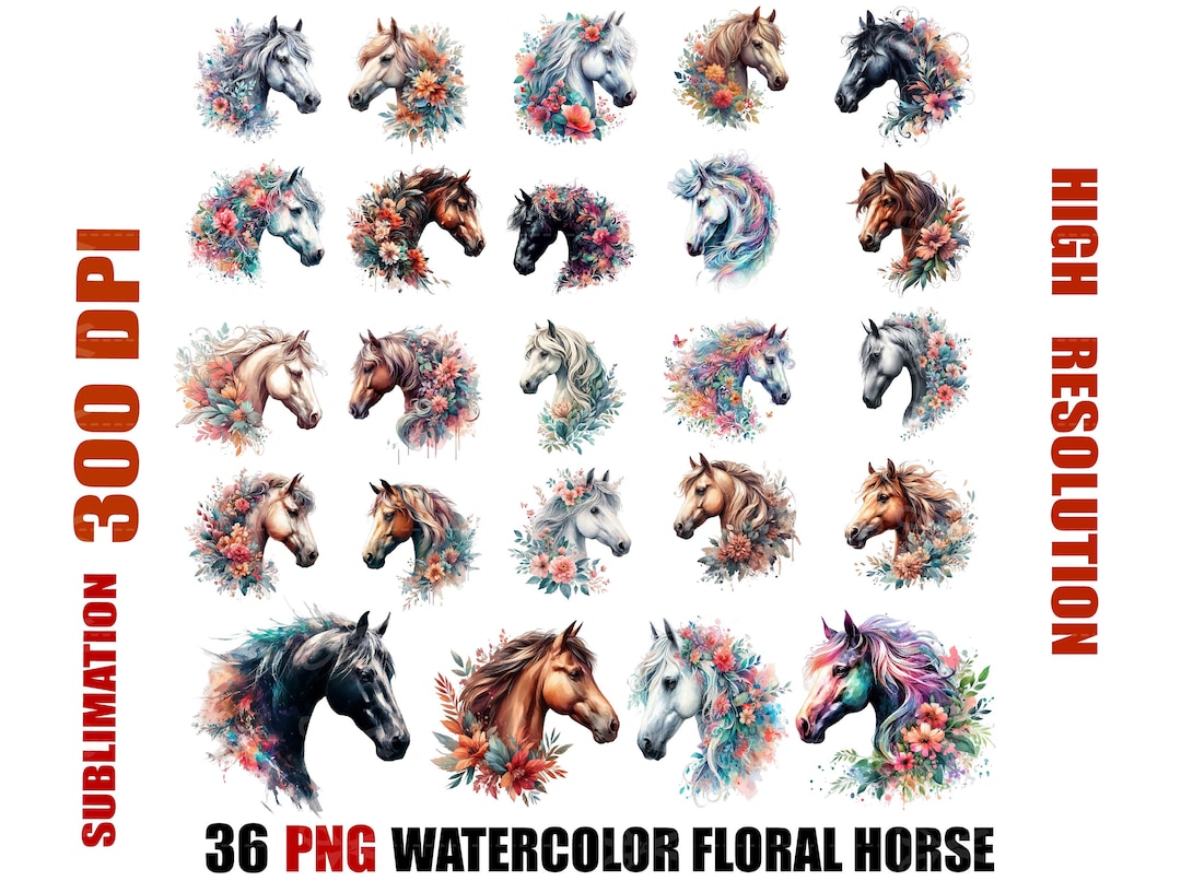 Watercolor Floral Horse Clipart Bundle | Floral Horse Png | Floral ...