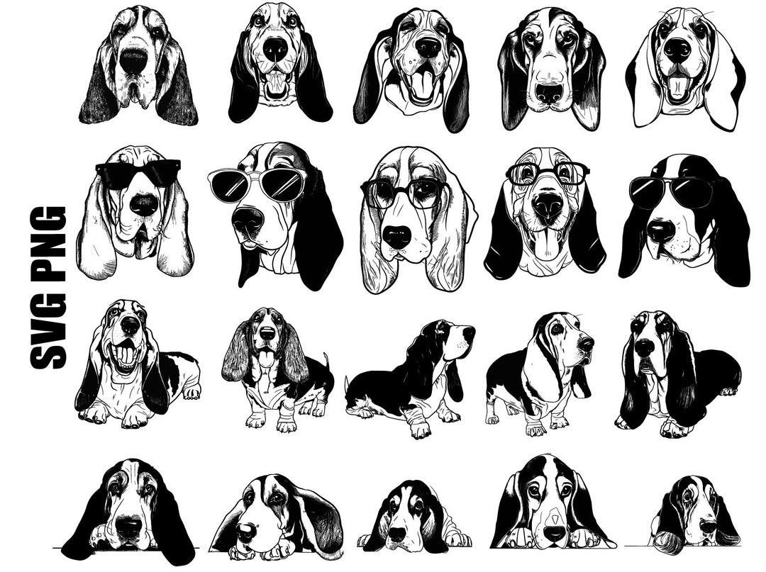 Basset Hound Svg Basset Hound Dog Svg Bundle Basset Hound - Etsy