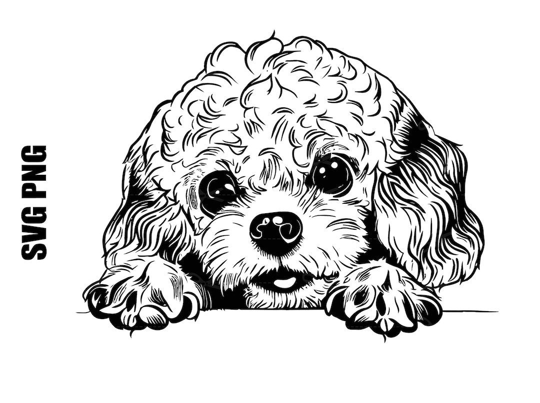 Peeking Cavapoo Svg, Peeking Cavapoo Clipart, Cavapoo Head Svg, Peeking ...