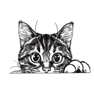 Adorable Peeking Kitty - Cat SVG for Creative Crafts, Cute Cat SVG ...