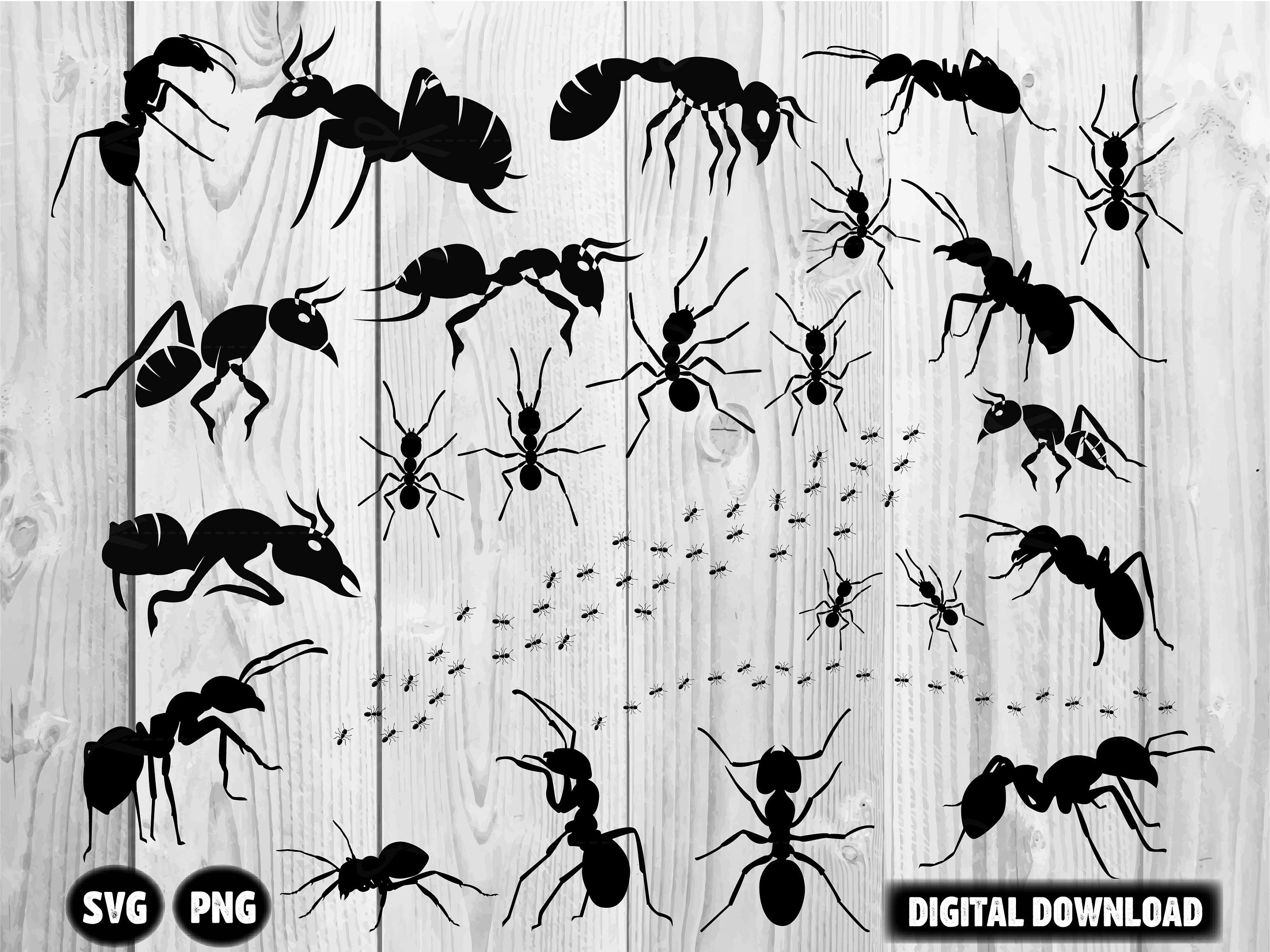 Ants Svg Ant Svg Cut File Ant Silhouette Ant Svg Bundle - Etsy UK
